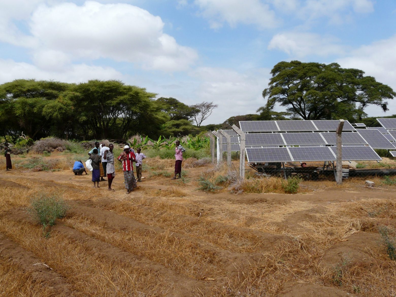 Call for Expressions of Interest: Promotion of Solar for Productive Use ...
