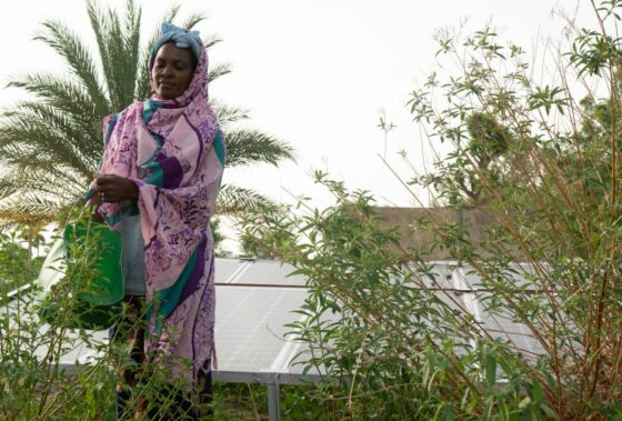 Energising Change - EnDev