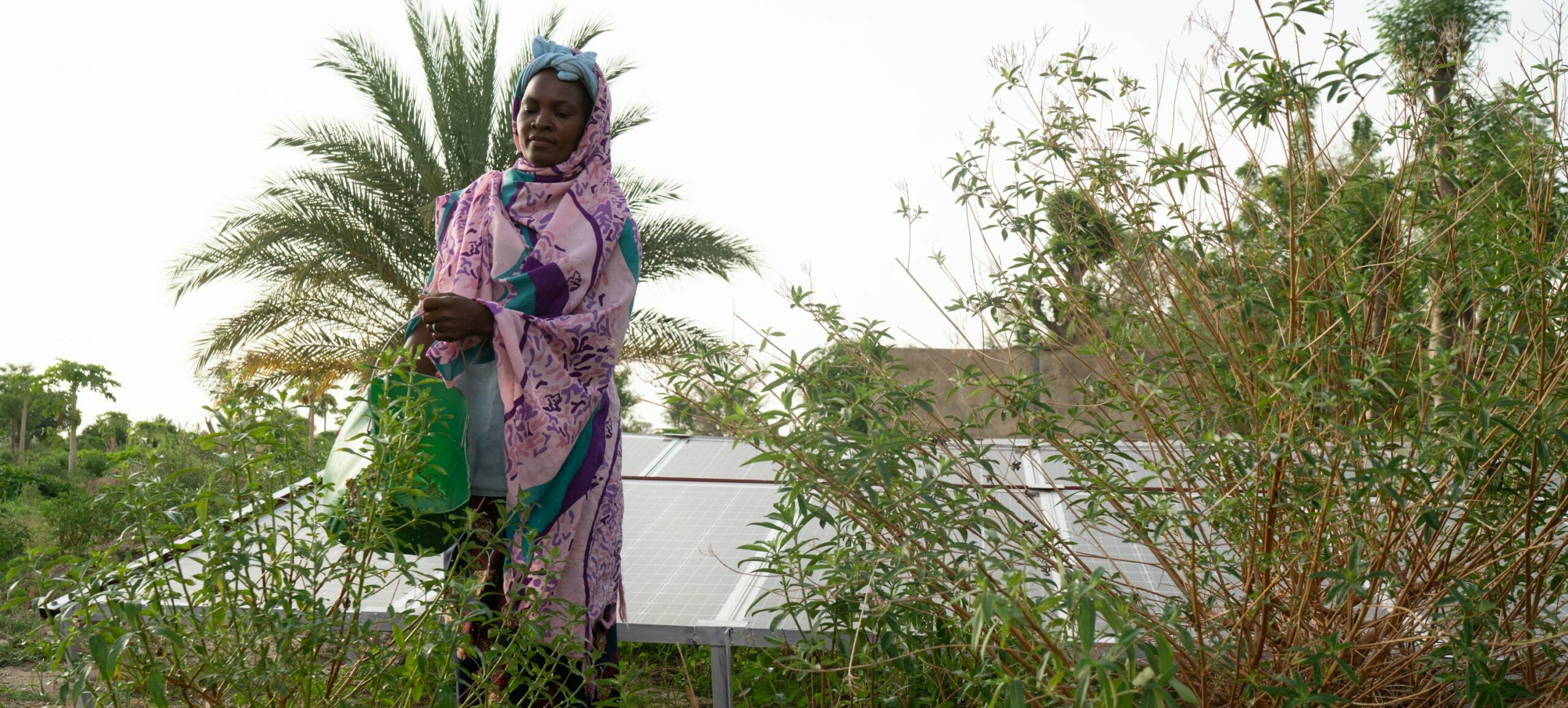 EnDev’s Gender-Transformative Approaches: A Path to more Equality - EnDev