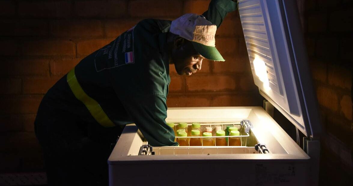 Electrification Powers Progress - EnDev